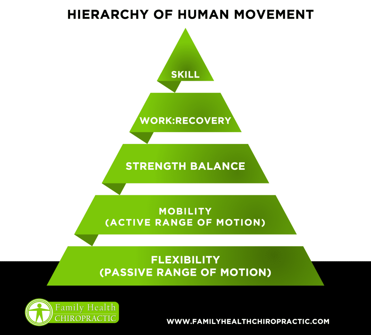 1. HIERARCHY OF ANALYZING HUMAN MOVEMENT.fw | Family Health Chiropractic
