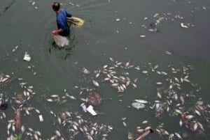 5 Highly Toxic Fish | FamilyHealthChiropractic.com