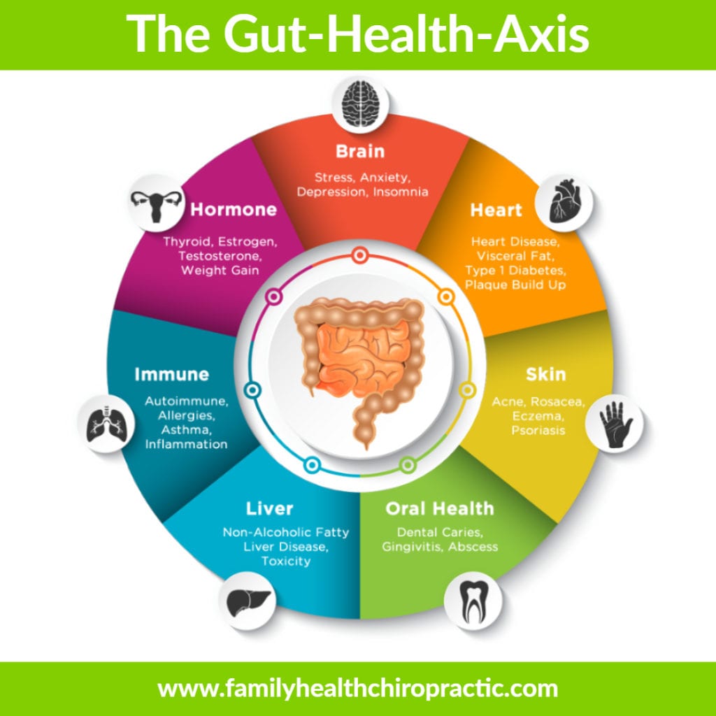 Gut Health Axis | Family Health Chiropractic