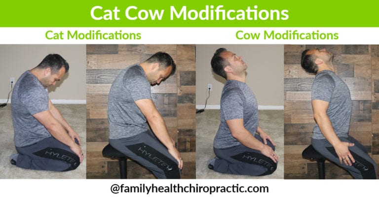 Cat Cow Progressions For Optimal Spine Health | Family Health Chiropractic