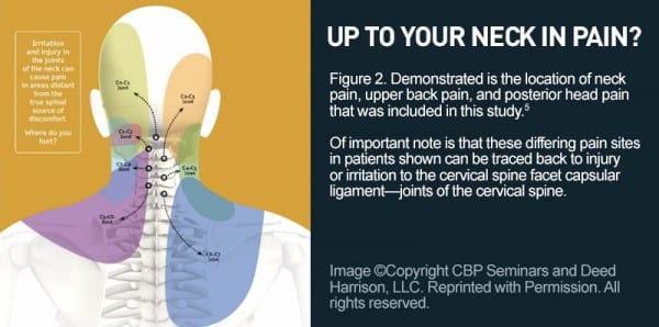 Why The Curve In Your Neck is So Important! | Family Health Chiropractic