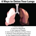 Organs that Detox Your Body | Family Health Chiropractic
