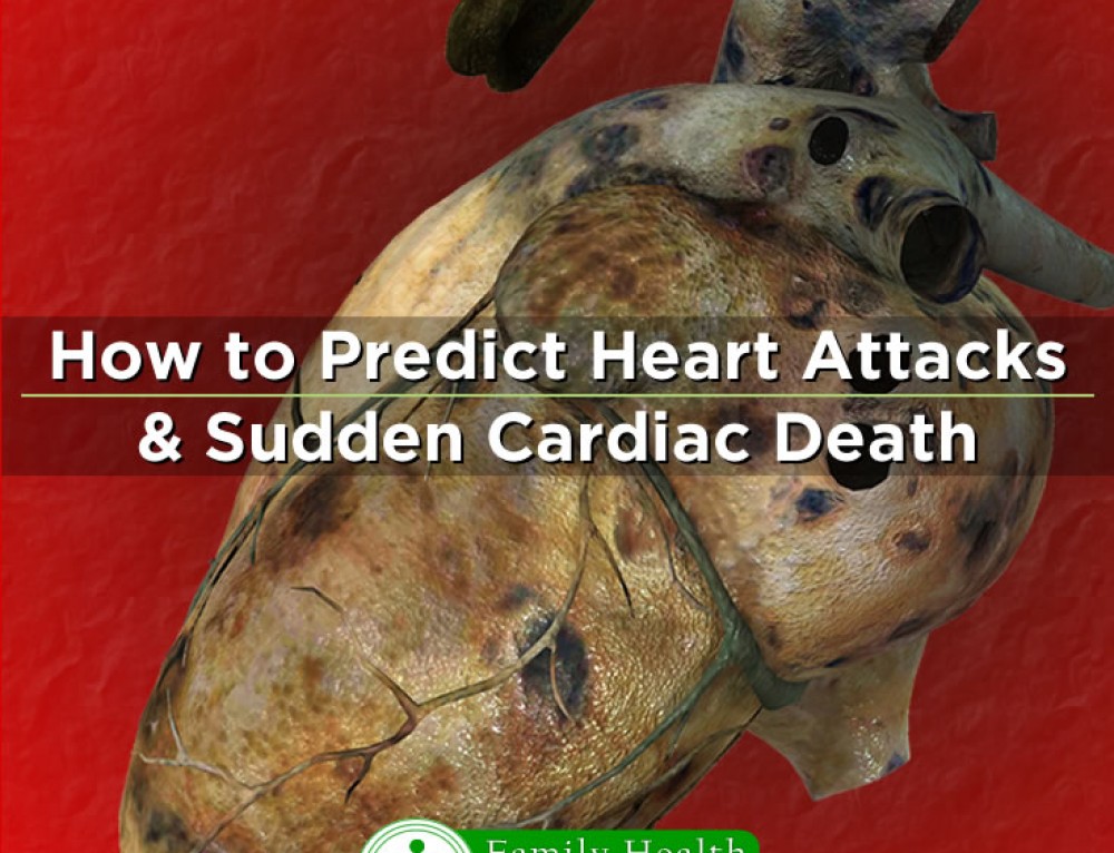 Organs that Detox Your Body