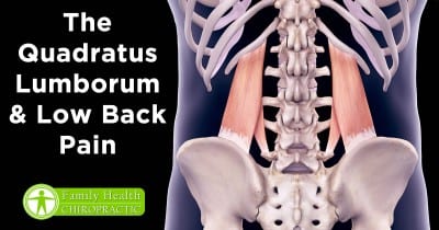 Quadratus Lumborum & Low Back Pain | Family Health Chiropractic