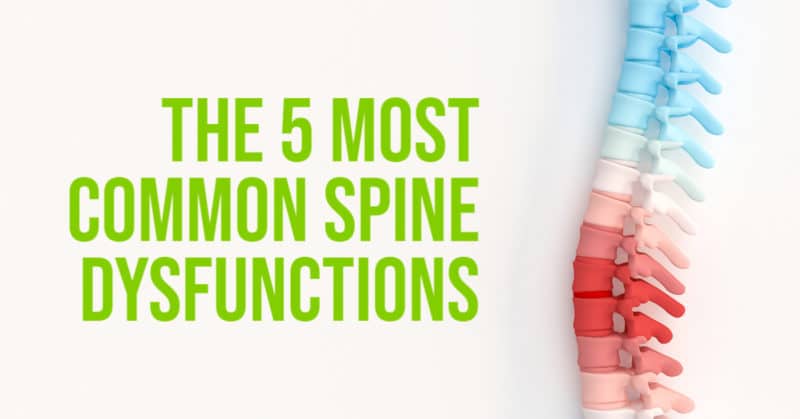 The 5 Most Common Spine Dysfunctions | What to Know | Austin Chiropractor